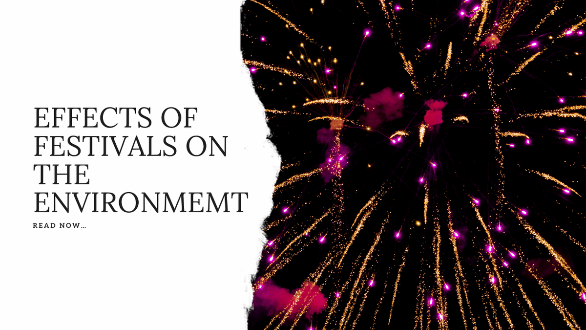 The effects of festivals on the environment… – Our Better Planet