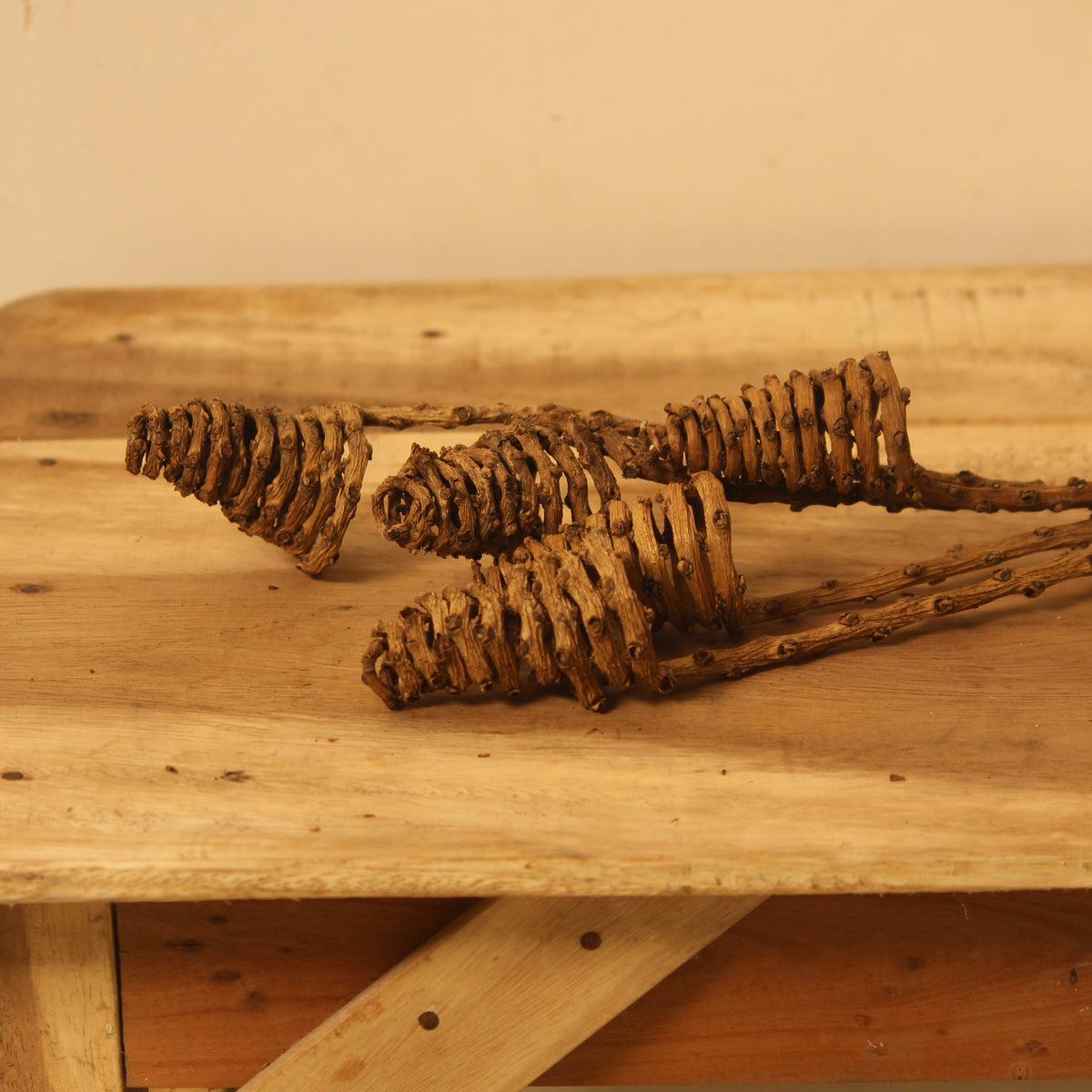 Buy Natural Tail Cone"- Set of 5 Online - Our Better Planet